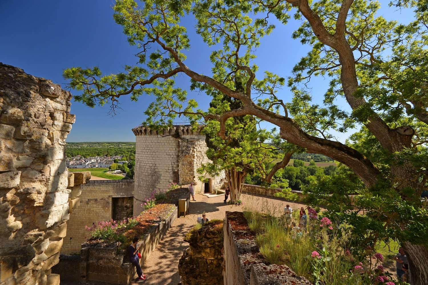Découvrir la forteresse | Forteresse de Chinon